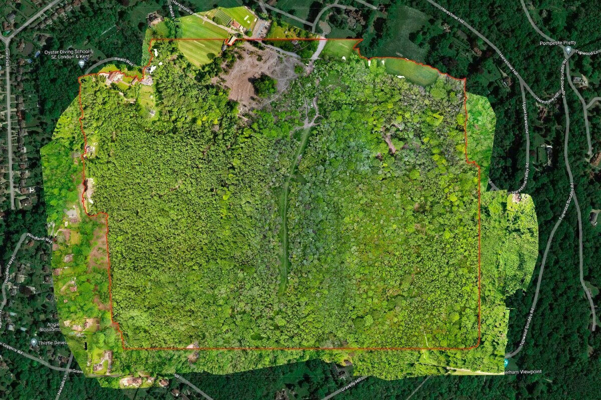 Forest Photogrammetry Survey | Before & After Woodland Mapping Project